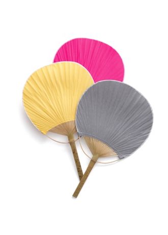 Paddle Fan | David's Bridal